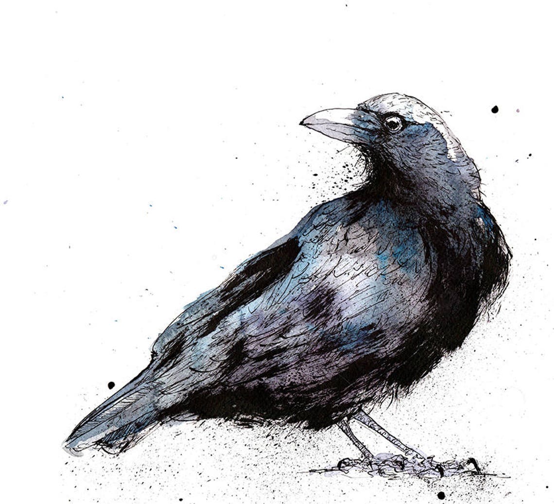 Watercolour and Ink Crow Art Print Crow Art Drawing of - Etsy