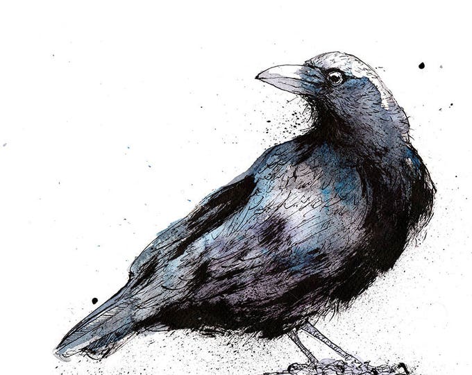 Watercolour and Ink Crow Art Print Crow Art Drawing of - Etsy