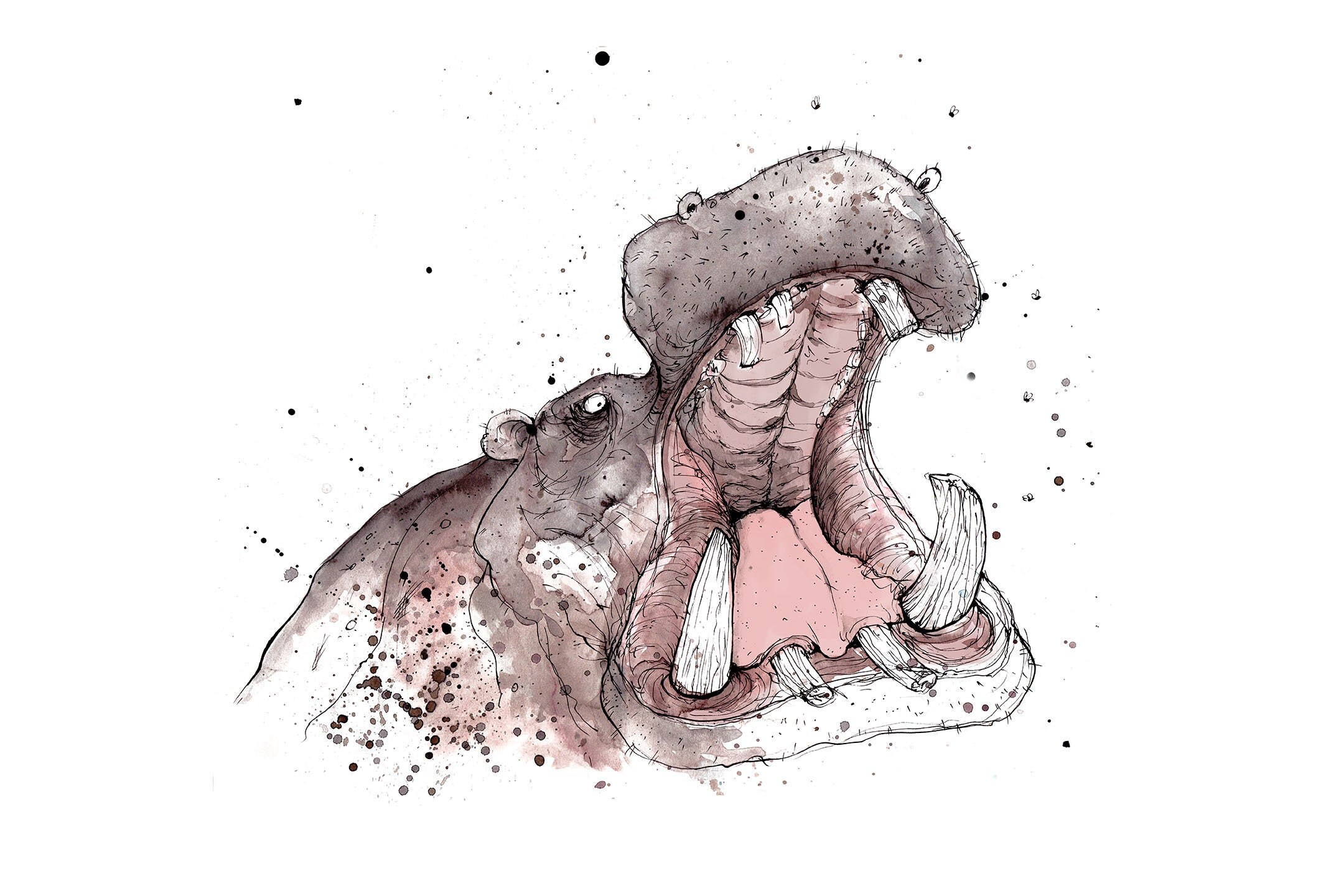 Hippo Print Hippo Wall Art Watercolour Hippopotamus Print - Etsy UK