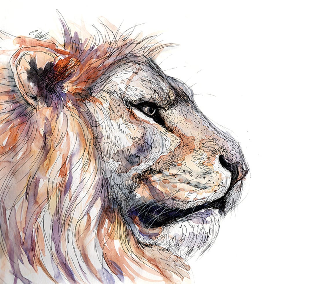 Lion Print, Lion Art, Lion Gifts, African Wildlife, Lion Artwork, Lion ...