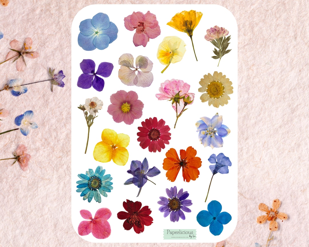 Pressed Flower Sticker Sheet, Flower Stickers, Botanical, Wildflower ...