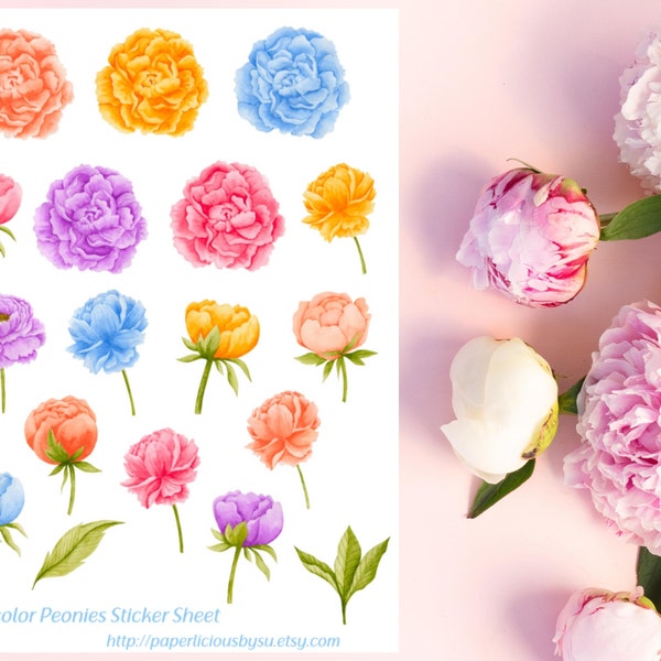 Peony Sticker - Etsy