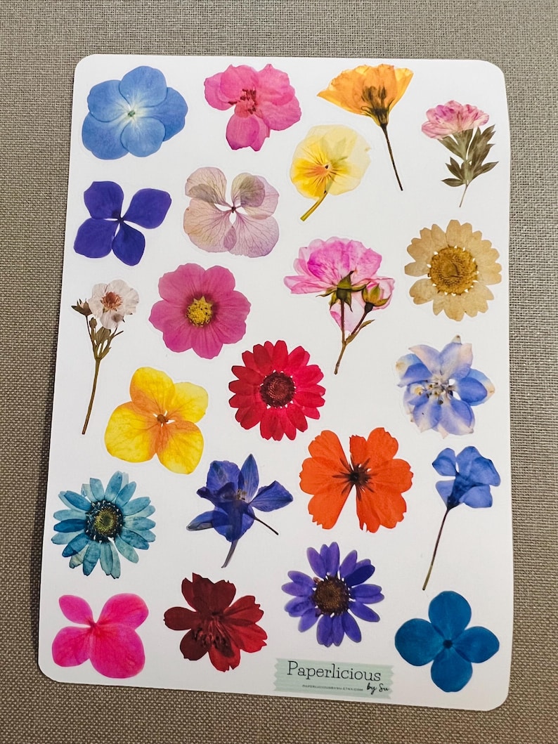 Pressed Flower Sticker Sheet, Flower Stickers, Botanical, Wildflower ...