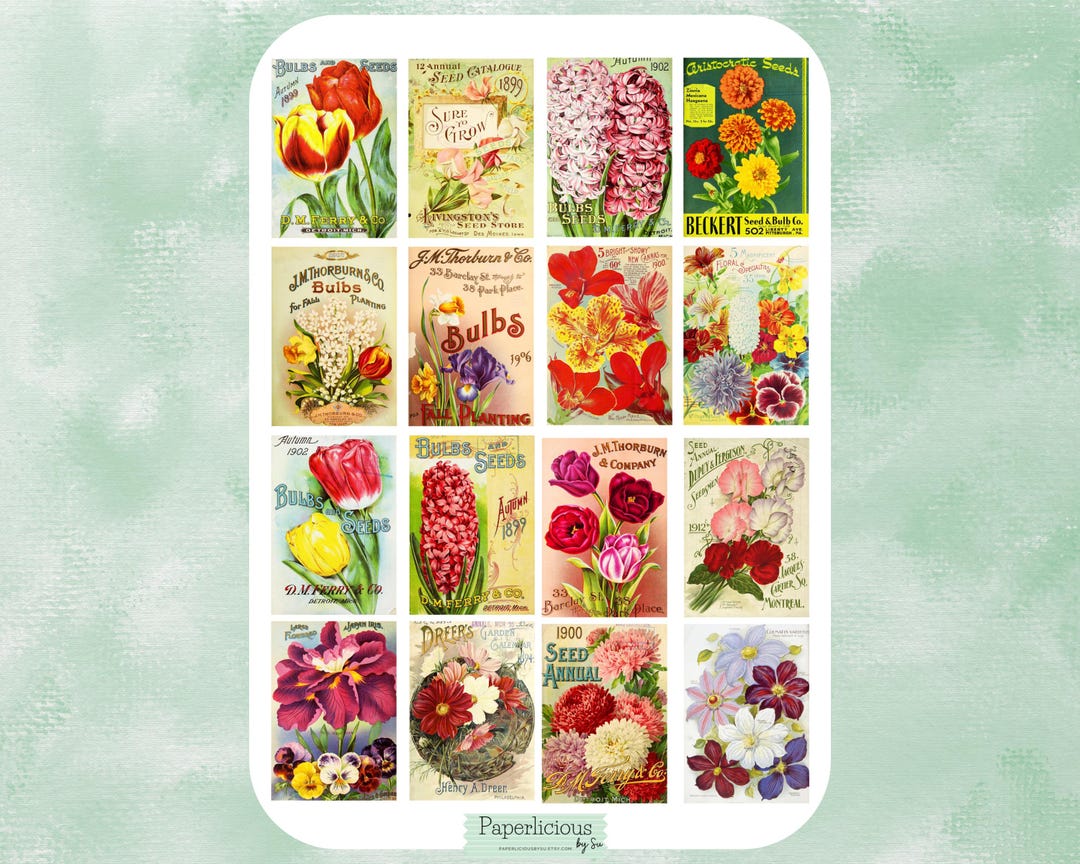 Vintage Flower Seed Packet Stickers, Seed Packet Labels, Botanical ...