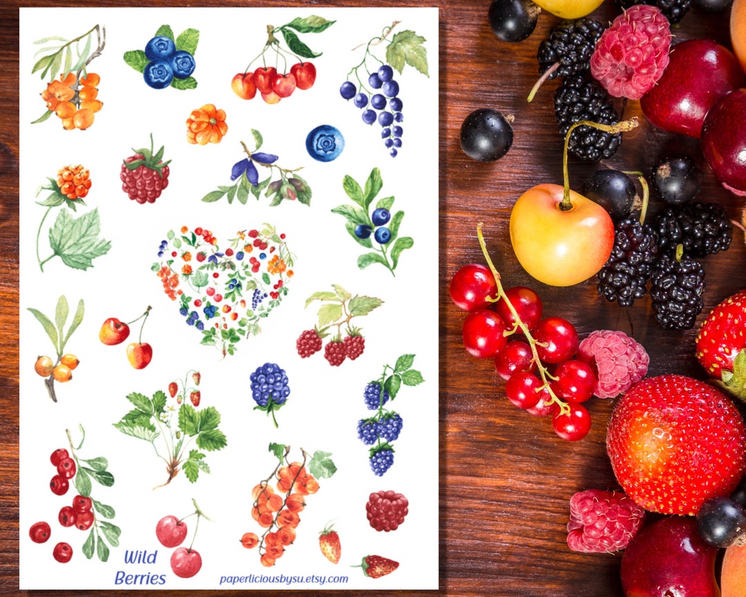 Watercolor Wild Berries Sticker Sheet, Berry Stickers, Plant Sticker ...