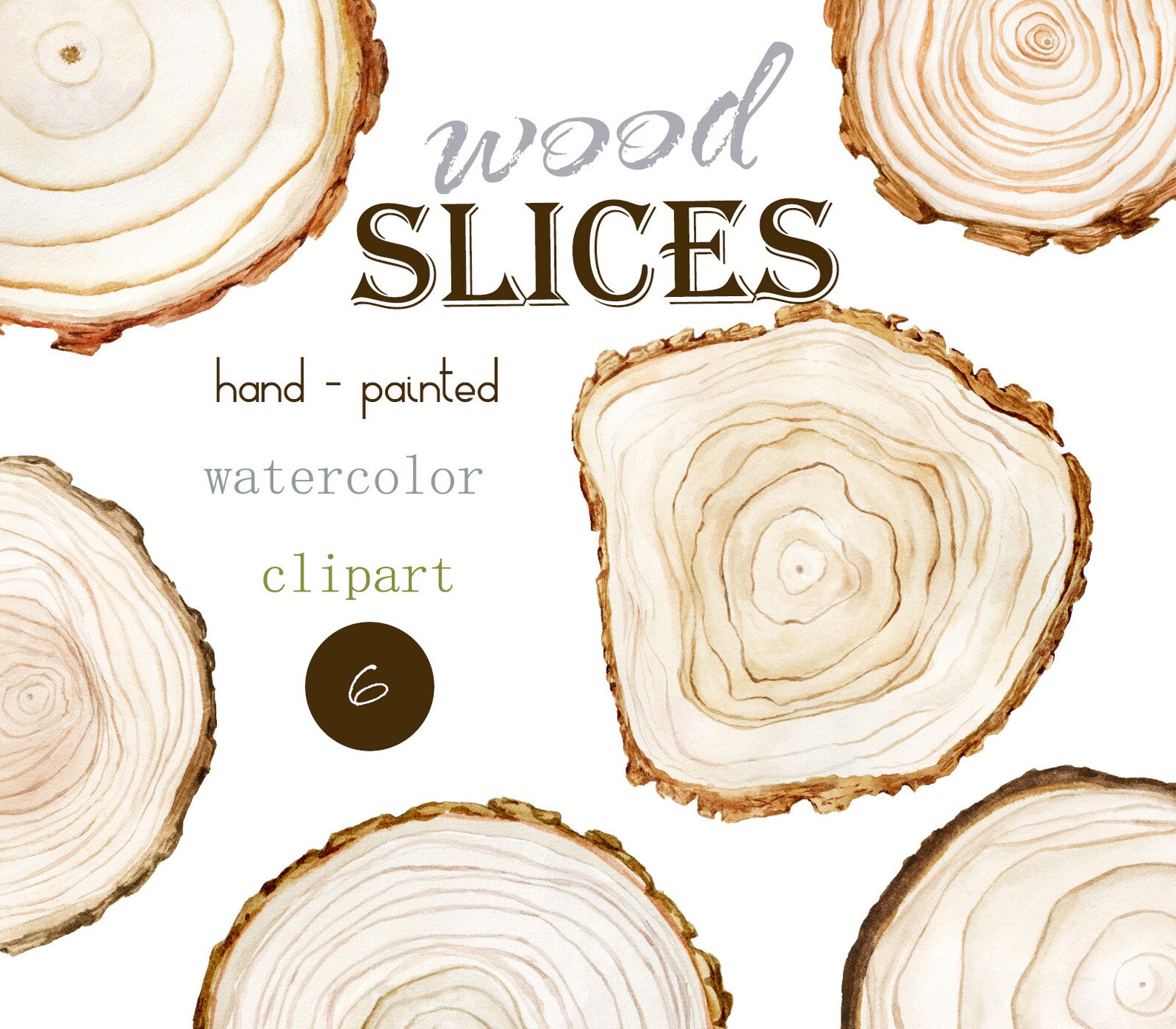Wood Slices Watercolor Clipart, Wooden Frames, Forest Decor, Rustic ...