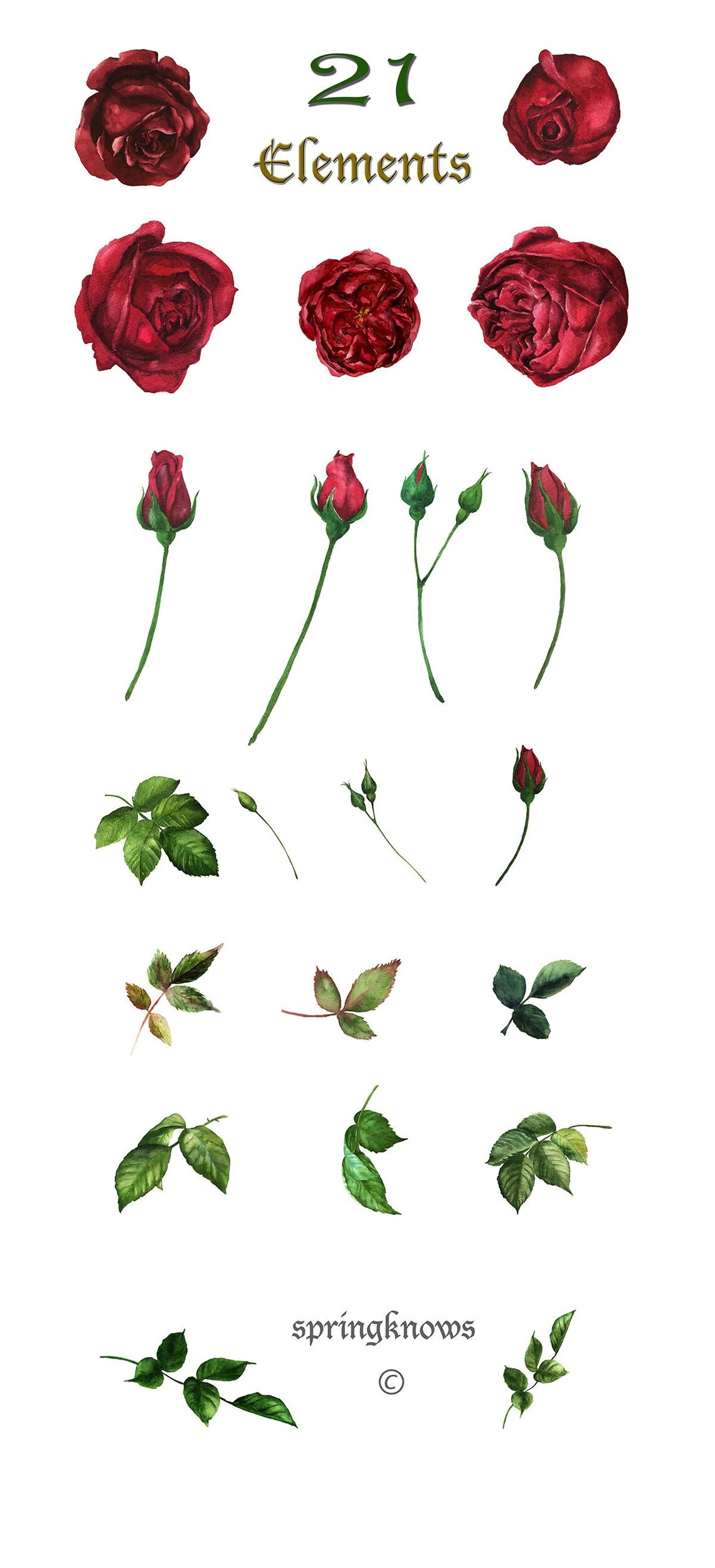 Dark Red Roses Elements, Botanical Art, Boho Floral, Bouquets, Hand ...