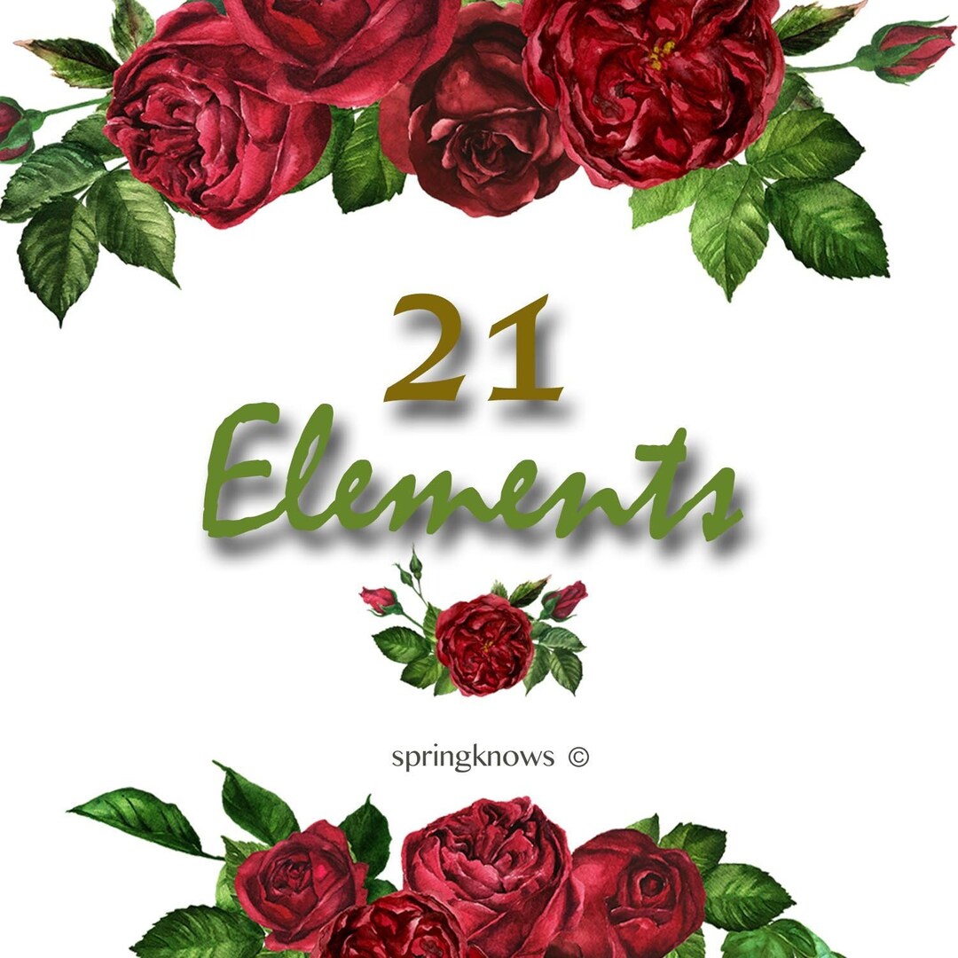 Dark Red Roses Elements, Botanical Art, Boho Floral, Bouquets, Hand ...