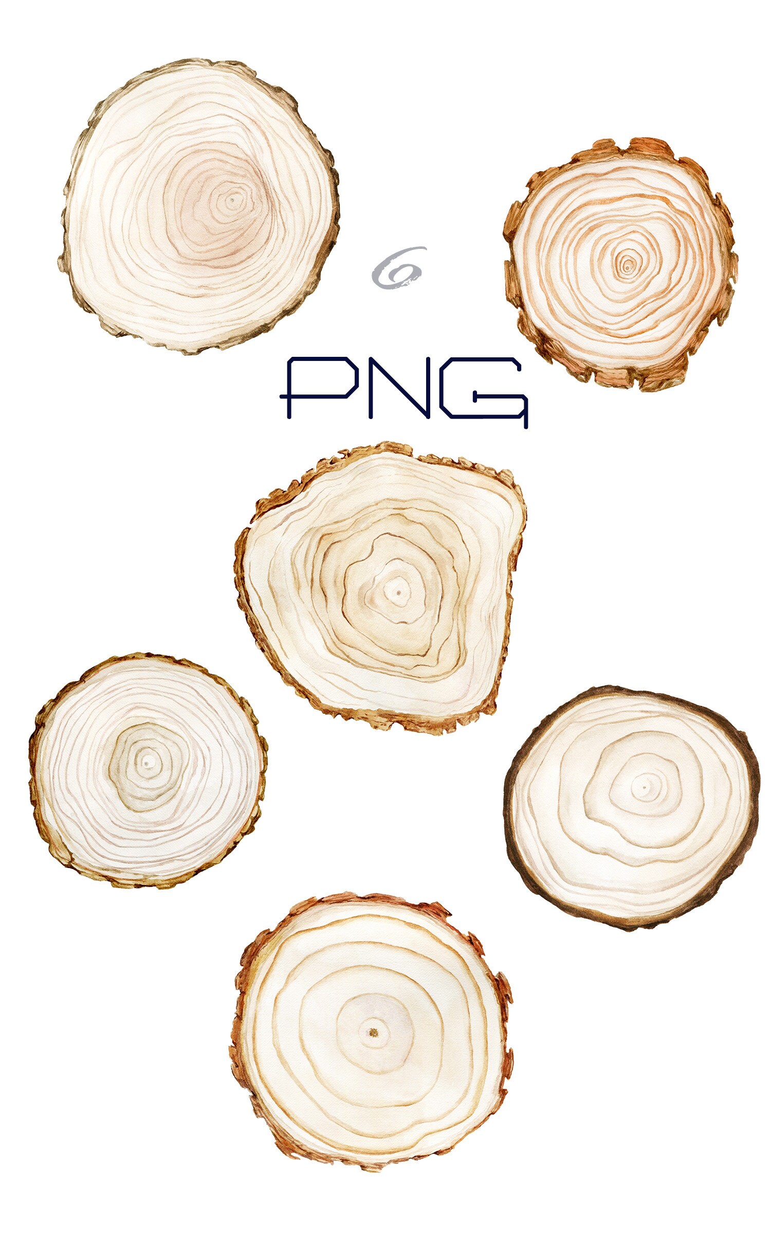 Wood Slices Watercolor Clipart, Wooden Frames, Forest Decor, Rustic ...