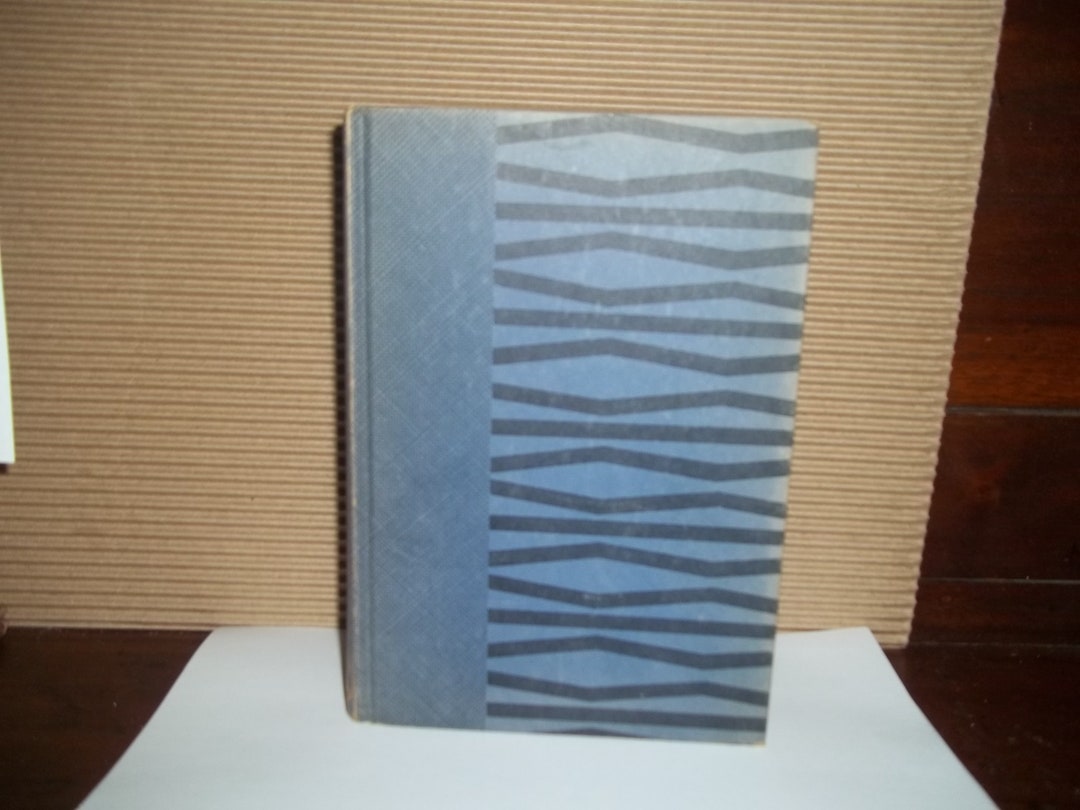 FIRST Edition-1964~death of a Wicked Servant~brian Cleeve-unusual Story ...
