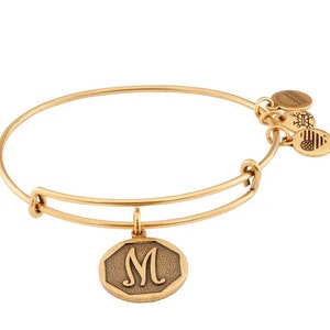 Alex and Ani M Initial Bangle Bracelet, Rafaelian Silver/gold, or Silver Retired and Rare ...