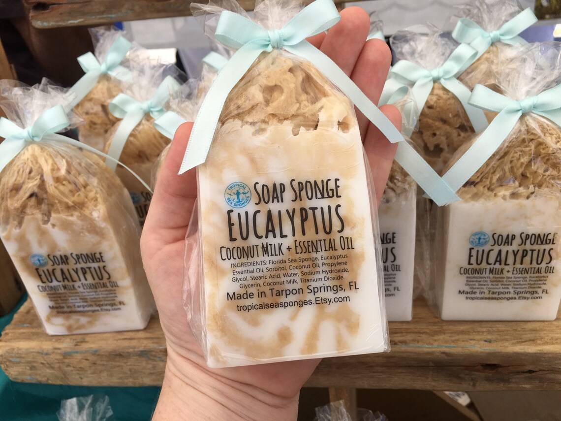 Eucalyptus Soap Sponge Essential Oil Dual Purpose Soap - Etsy