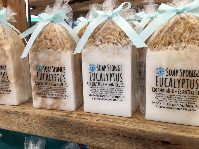 Eucalyptus Soap Sponge Essential Oil Dual Purpose Soap - Etsy