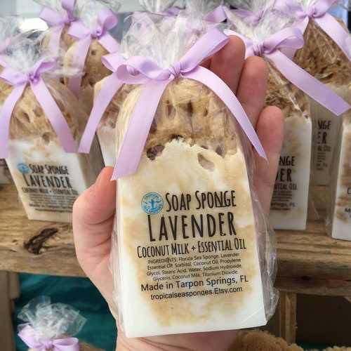 Eucalyptus Soap Sponge Essential Oil Dual Purpose Soap - Etsy