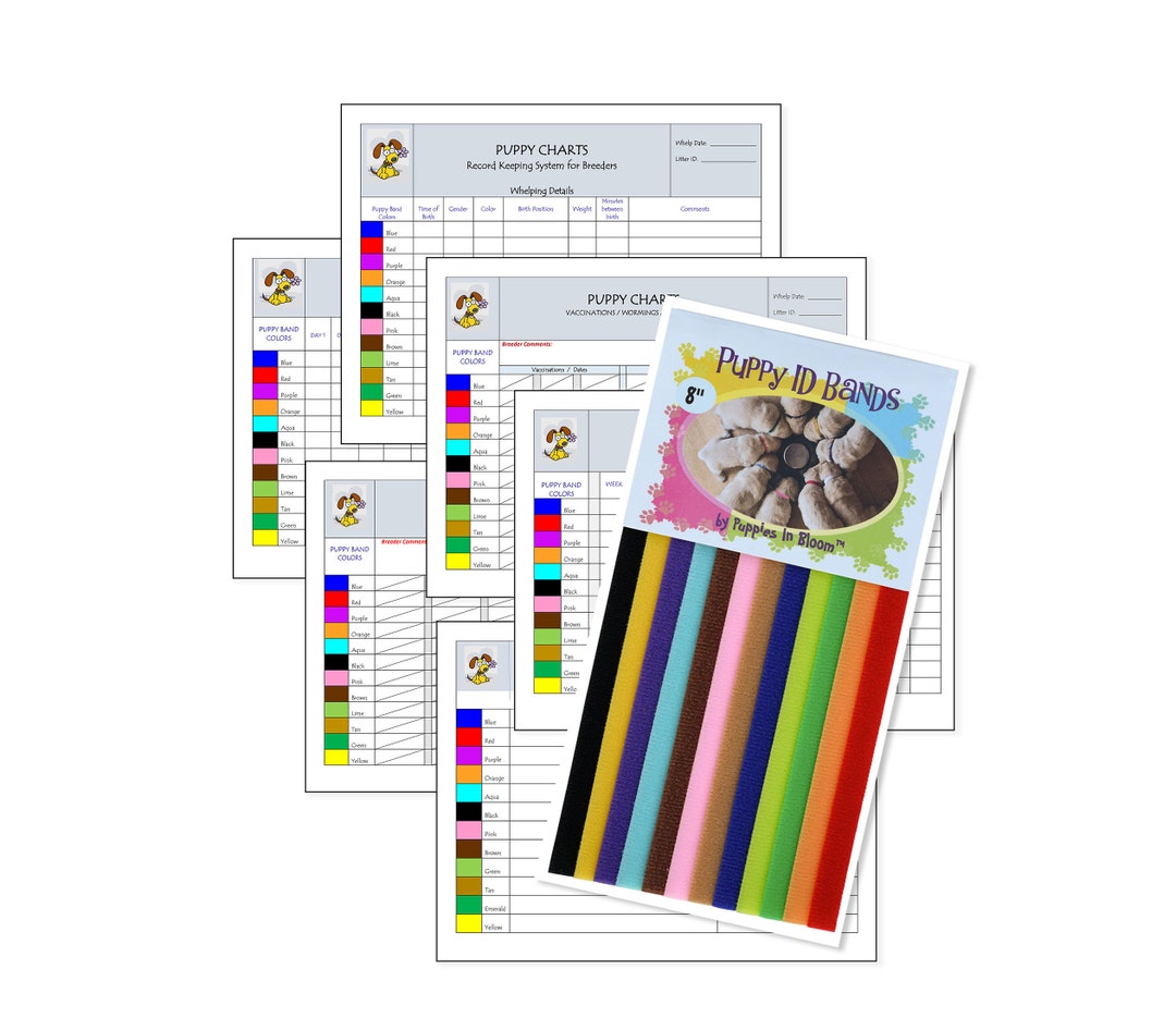 Puppy Charts and Puppy ID Bands, Set, 8 Inch Size - Etsy