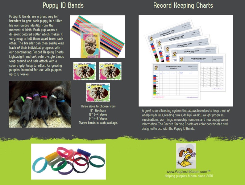 Puppy Charts DOWNLOAD for Keeping Records - Etsy