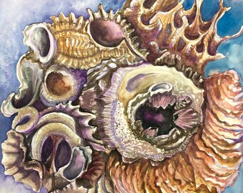 Shell Cluster Wall Art - Etsy