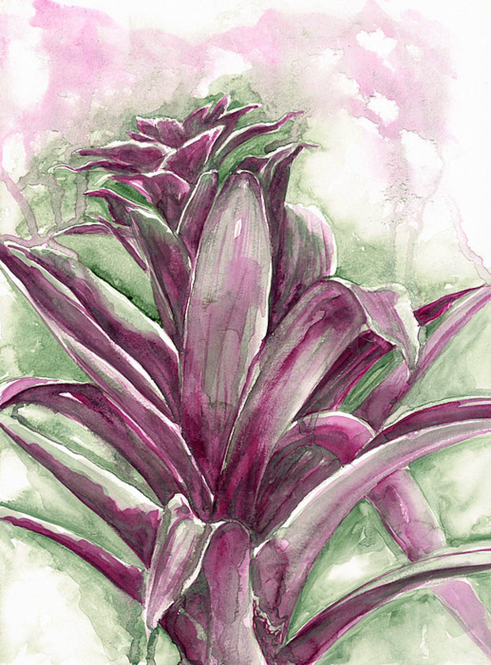 Bromeliad Tropical Botanical Watercolor Painting - Etsy