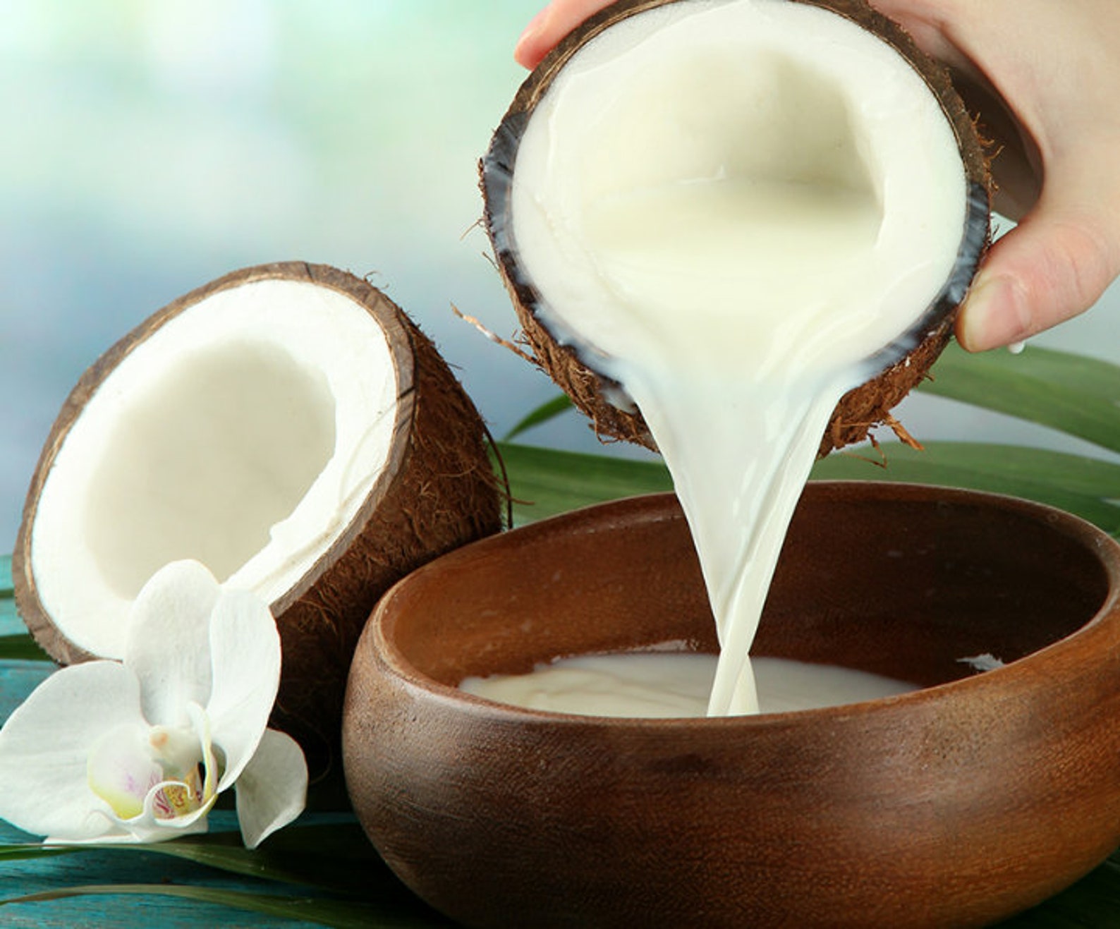 COCONUT MILK || Natural Body Products • Shampoo, Soap, Body Butter ...