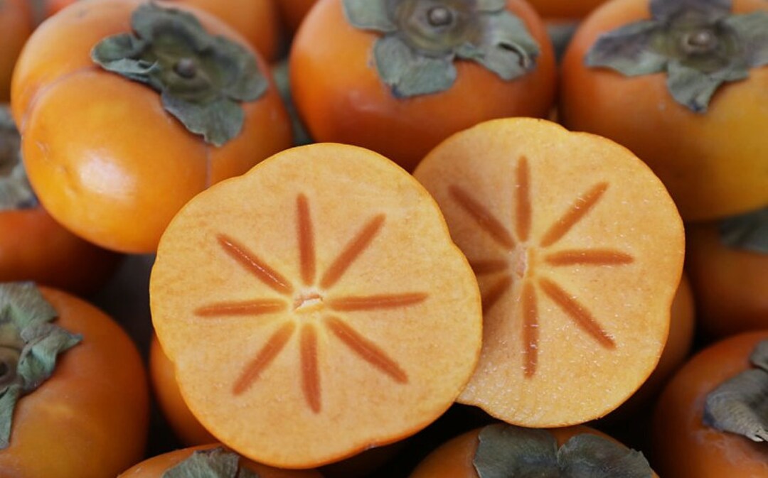 PERSIMMON Natural Body Products Shampoo, Soap, Body Butter, Solid ...