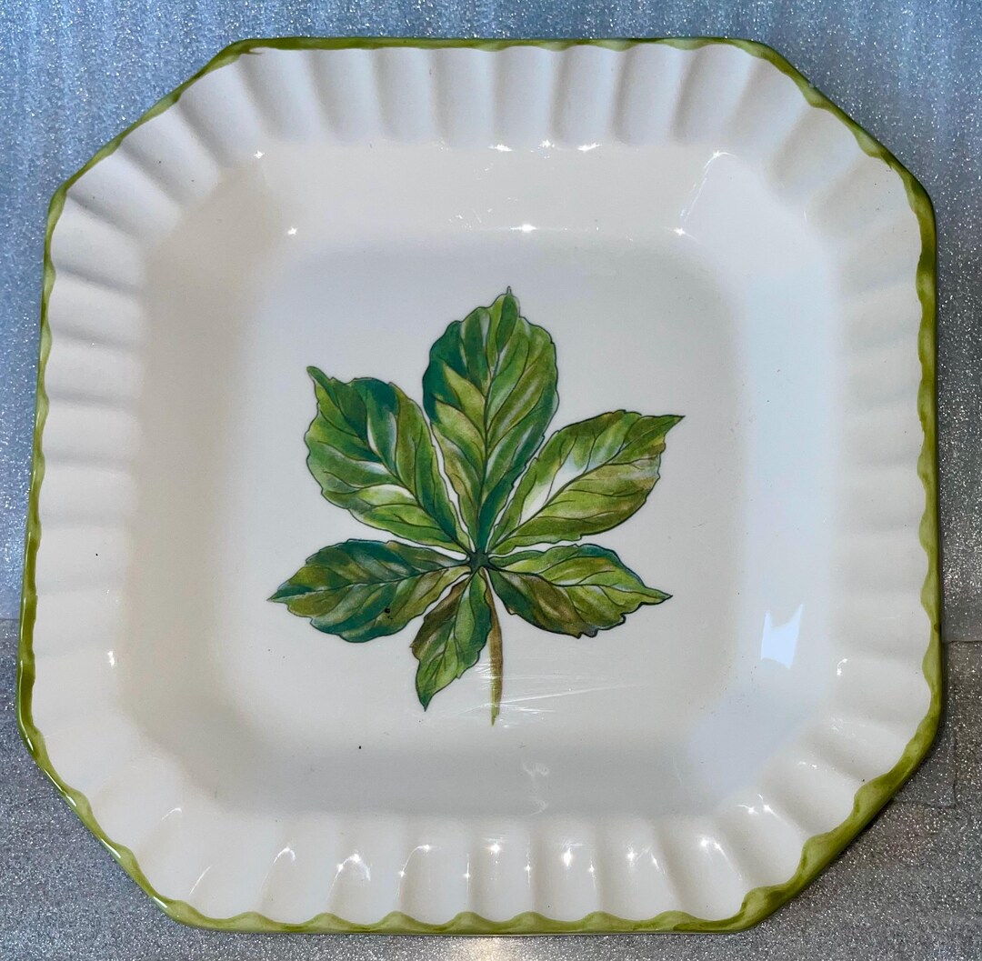 Ceramica Due Torri Italy Green & White Leaf Platter Serving Dish Square ...