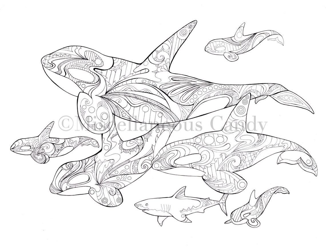 Orca Pod Coloring Sheet - Etsy