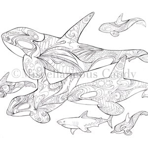 Orca Pod Coloring Sheet - Etsy
