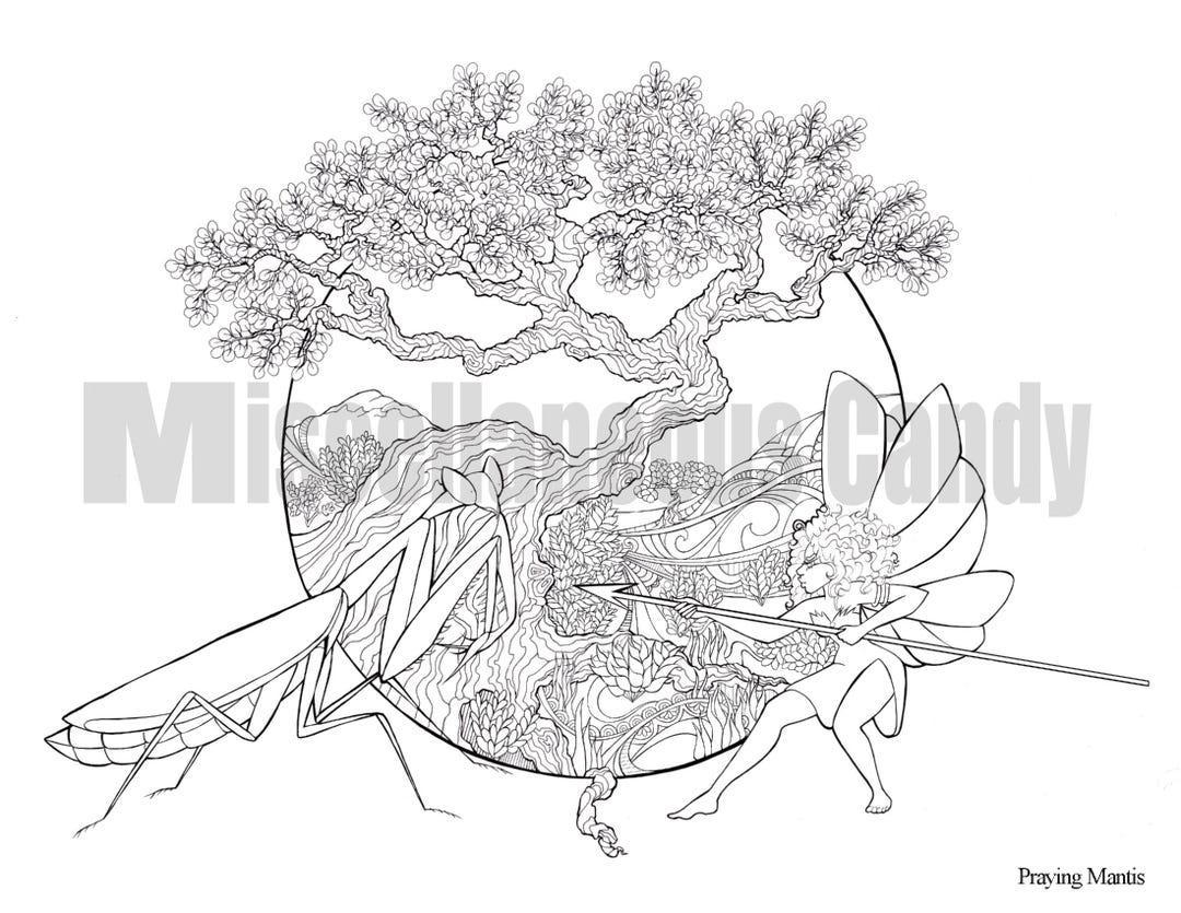 Fairy Vs Praying Mantis Coloring Page - Etsy