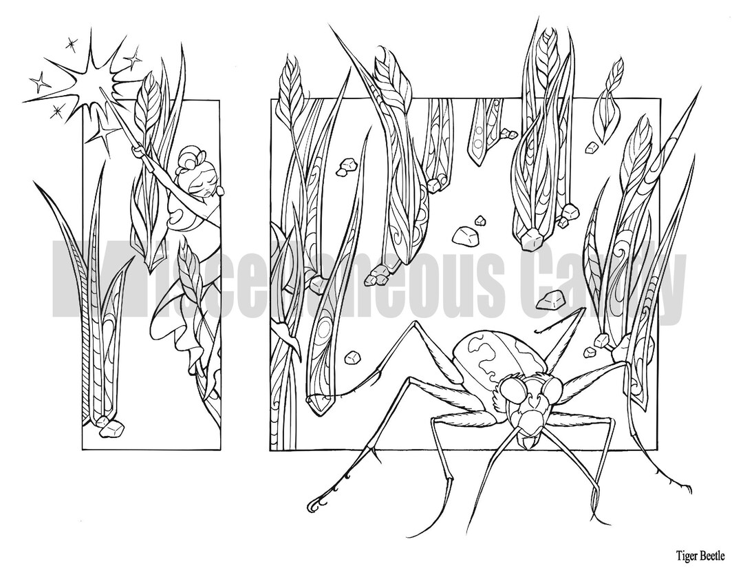 Fairy Vs Tiger Beetle Coloring Page - Etsy