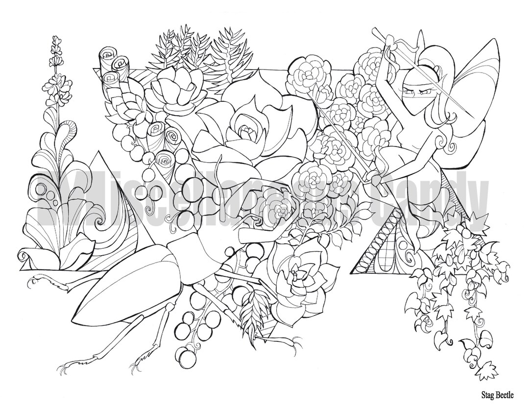 Fairy Vs Stag Beetle Coloring Page - Etsy