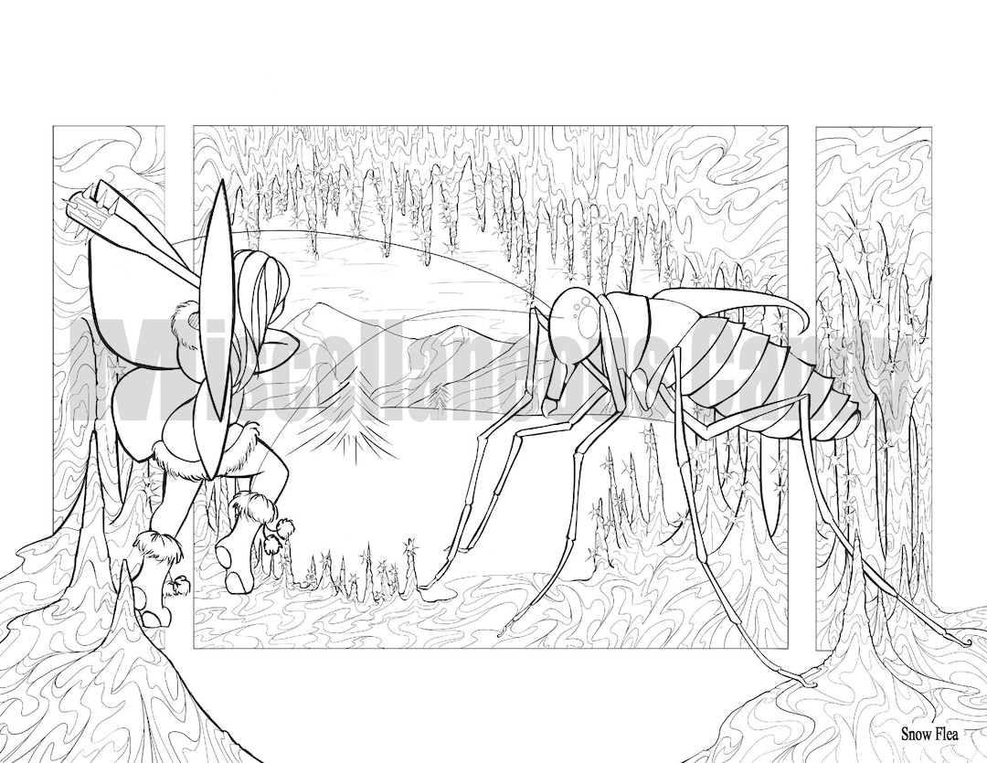 Fairy Vs Snow Flea Coloring Page - Etsy