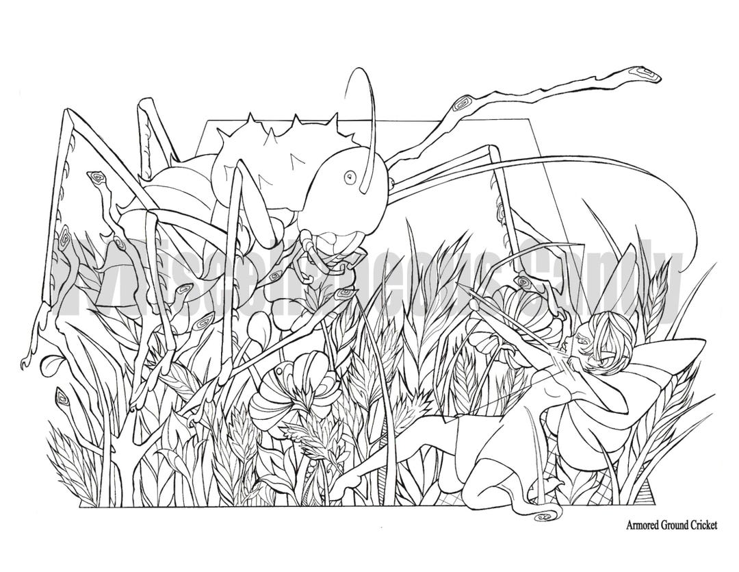 Fairy Vs Armored Ground Cricket Coloring Page - Etsy