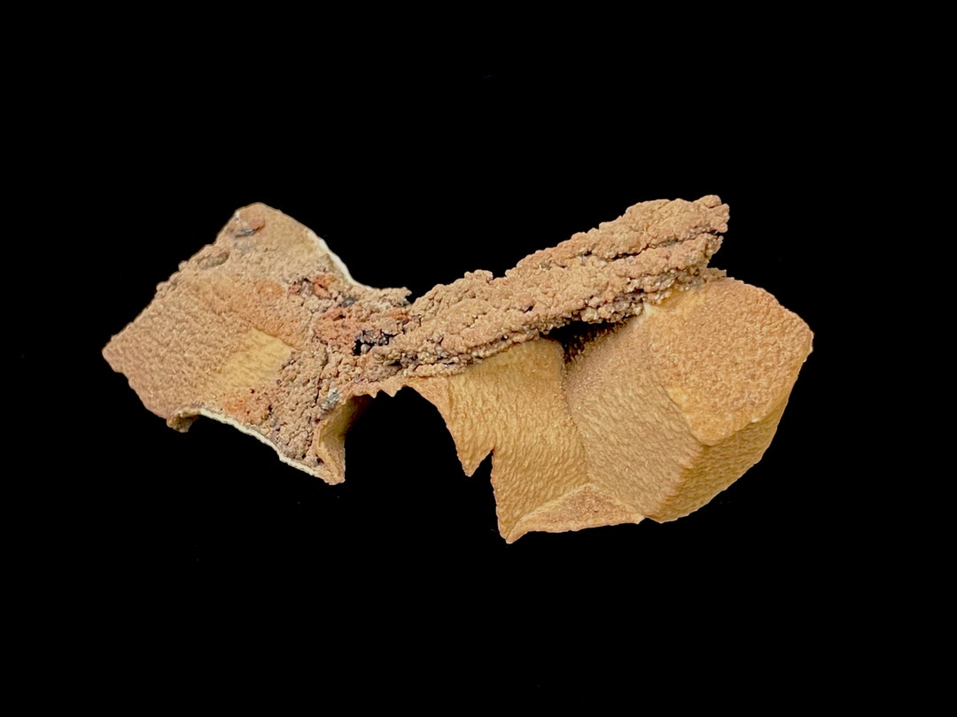 Siderite and Sphalerite Epimorph After Calcite From South Africa - Etsy