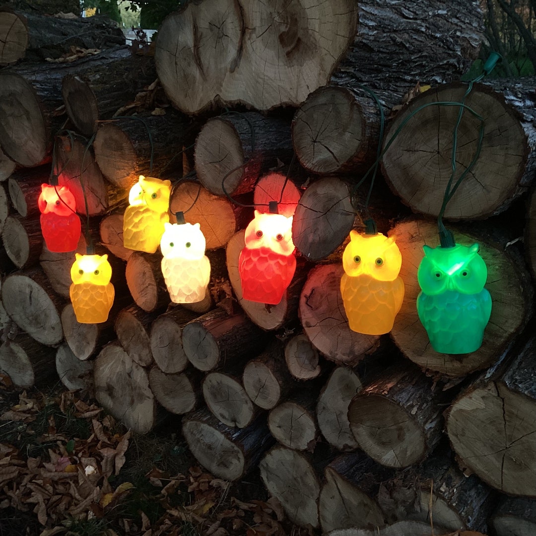 Vintage Owl Blow Mold Party String Lights - Etsy