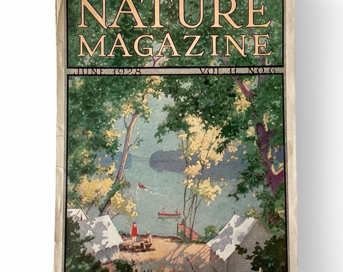 June 1928 Nature Magazine * Summer Camp * Voles and Small Mammals - Etsy
