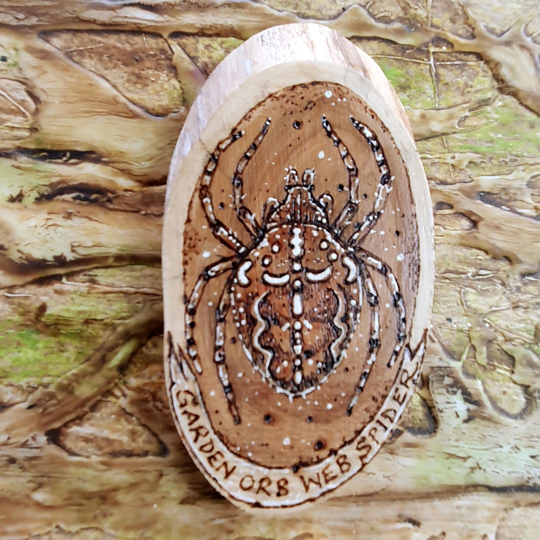 Garden Orb Web Spider ~ an Original Wood Burning, Small Decoration, Art ...
