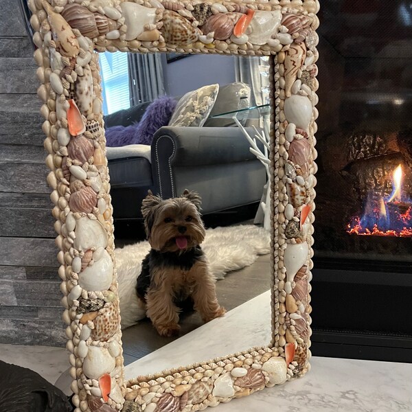 Seashell Mirror - Etsy