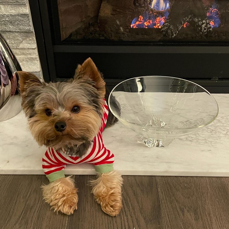 Steuben Donald Pollard - Etsy