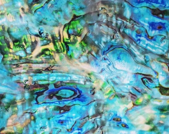 Abalone Fabric | Etsy