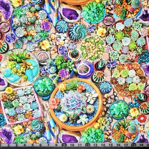 Earthy Bright Succulent Cacti Cactus Terrarium Amethyst Shells - Etsy