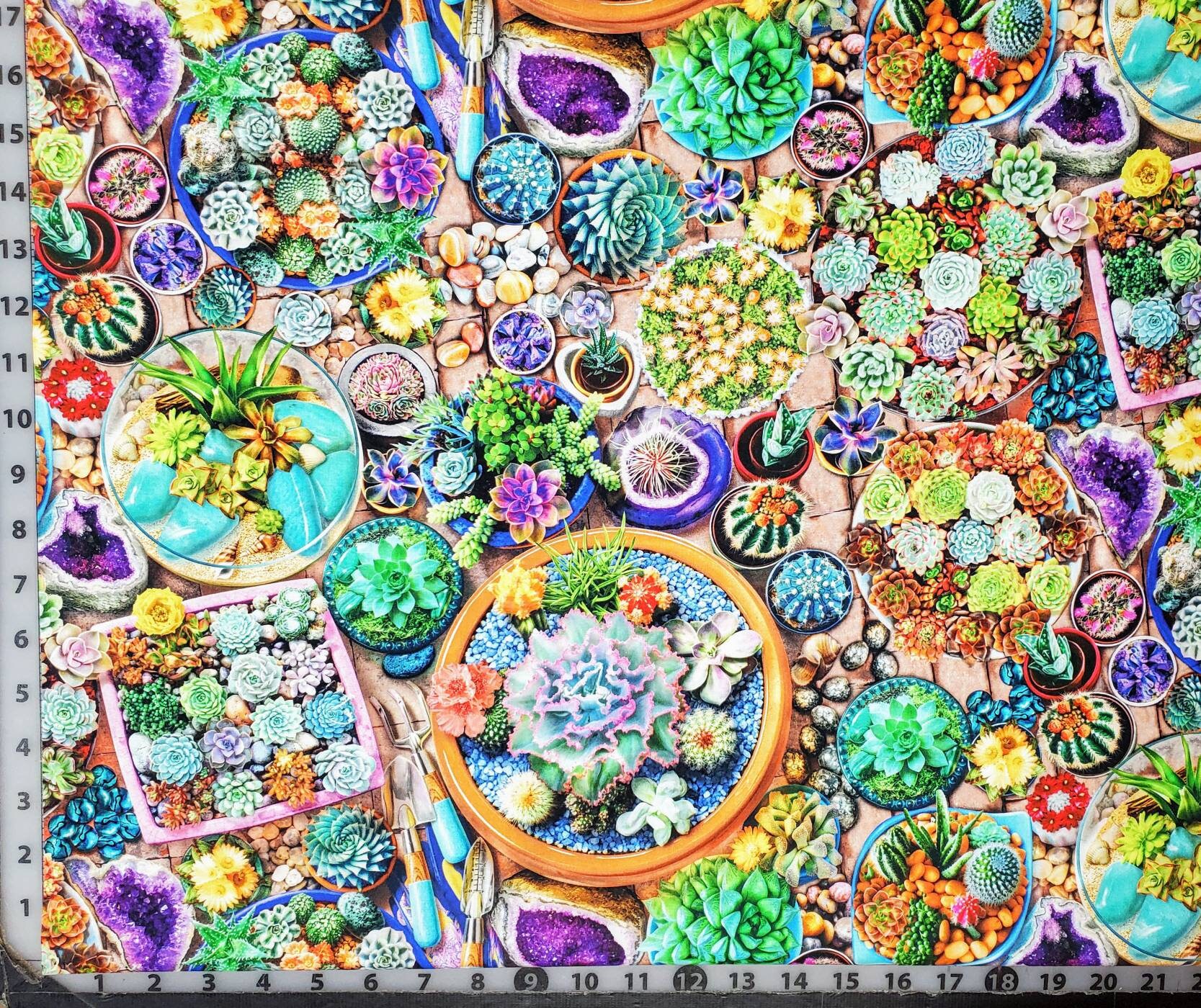 Earthy Bright Succulent Cacti Cactus Terrarium Amethyst Shells Planter ...