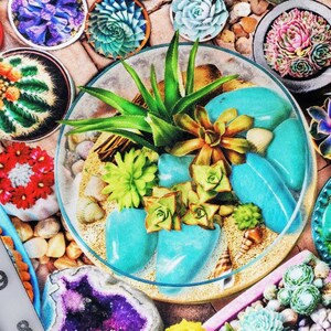 Earthy Bright Succulent Cacti Cactus Terrarium Amethyst Shells - Etsy