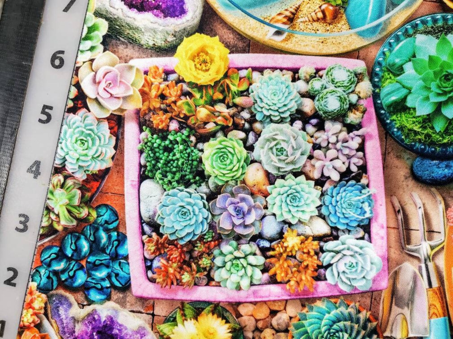 Earthy Bright Succulent Cacti Cactus Terrarium Amethyst Shells - Etsy