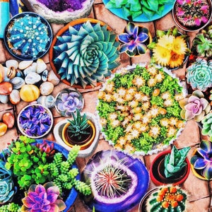 Earthy Bright Succulent Cacti Cactus Terrarium Amethyst Shells - Etsy