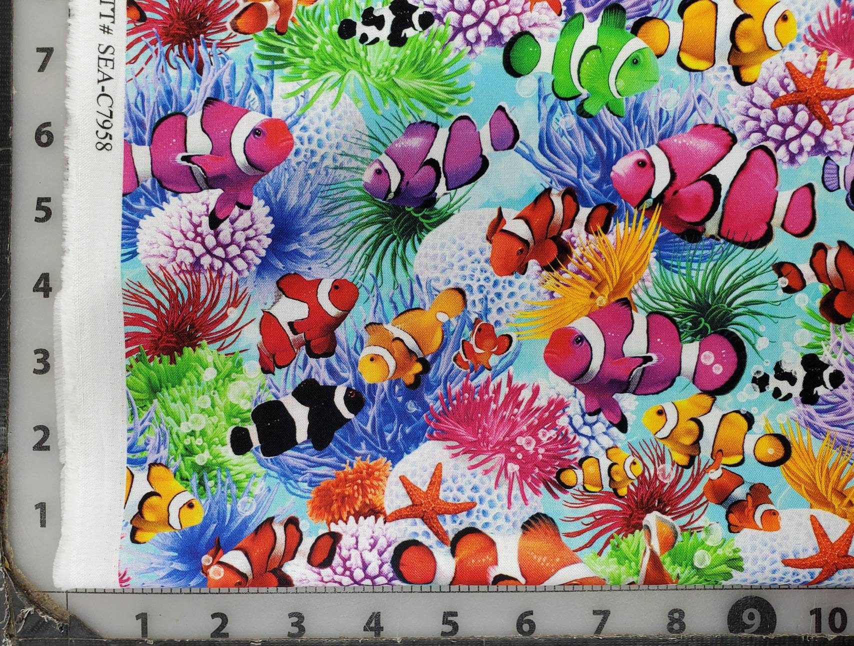 Multi Color Fish Star Fish Sea Ocean All Over on White | Etsy