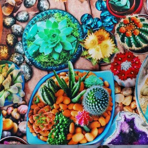 Earthy Bright Succulent Cacti Cactus Terrarium Amethyst Shells - Etsy