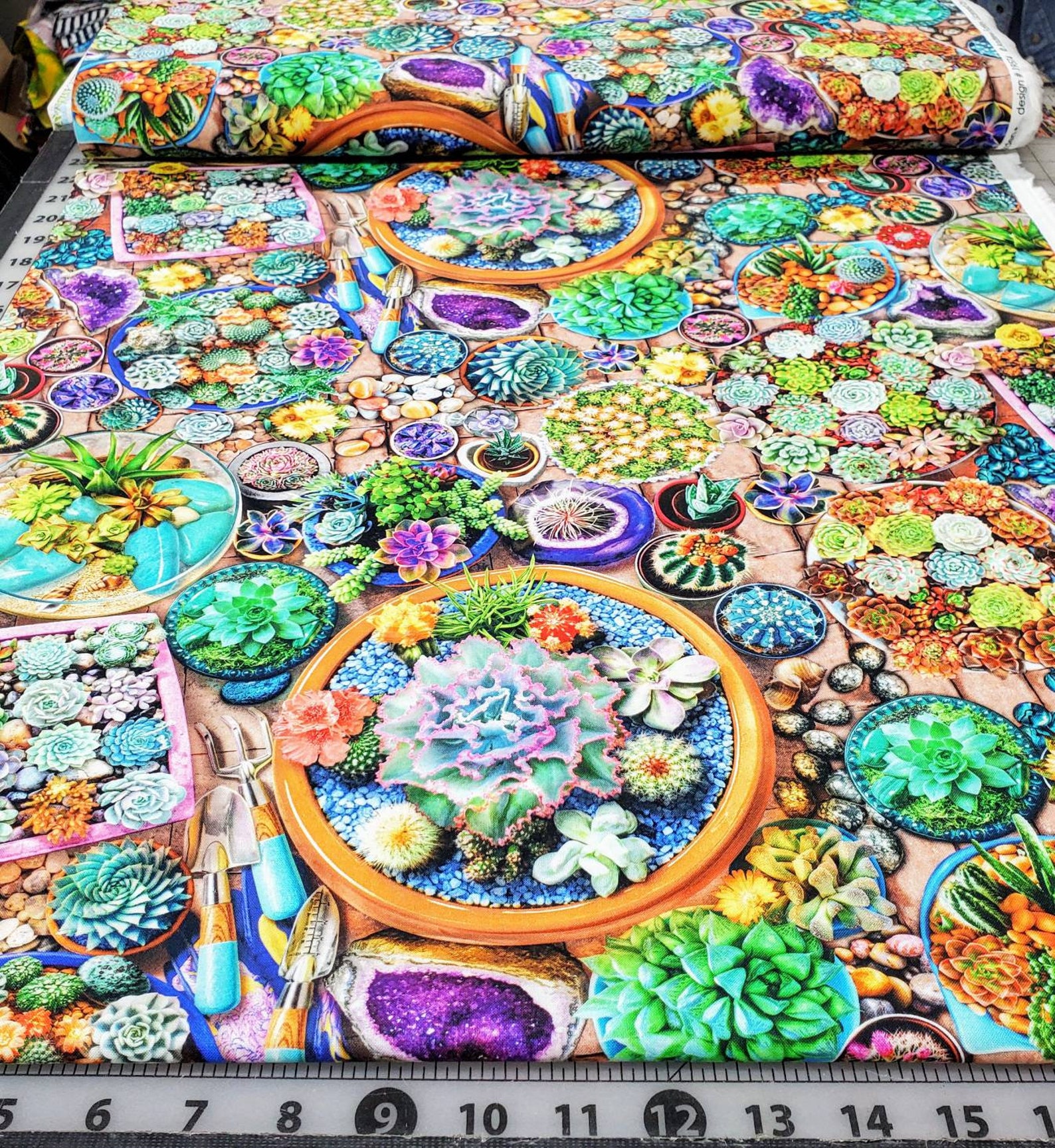 Earthy Bright Succulent Cacti Cactus Terrarium Amethyst Shells - Etsy