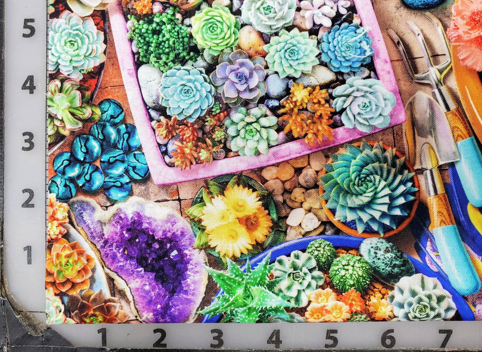 Earthy Bright Succulent Cacti Cactus Terrarium Amethyst Shells - Etsy