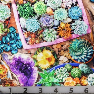 Earthy Bright Succulent Cacti Cactus Terrarium Amethyst Shells Planter ...