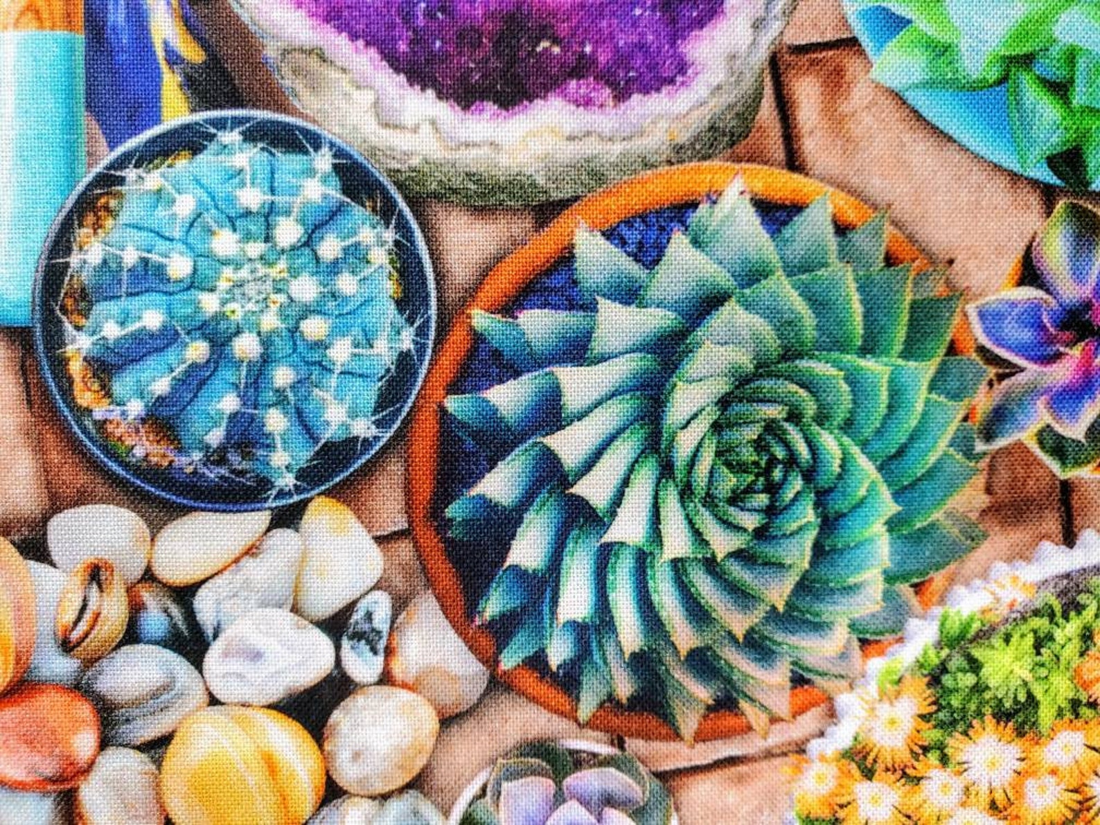 Earthy Bright Succulent Cacti Cactus Terrarium Amethyst Shells Planter ...